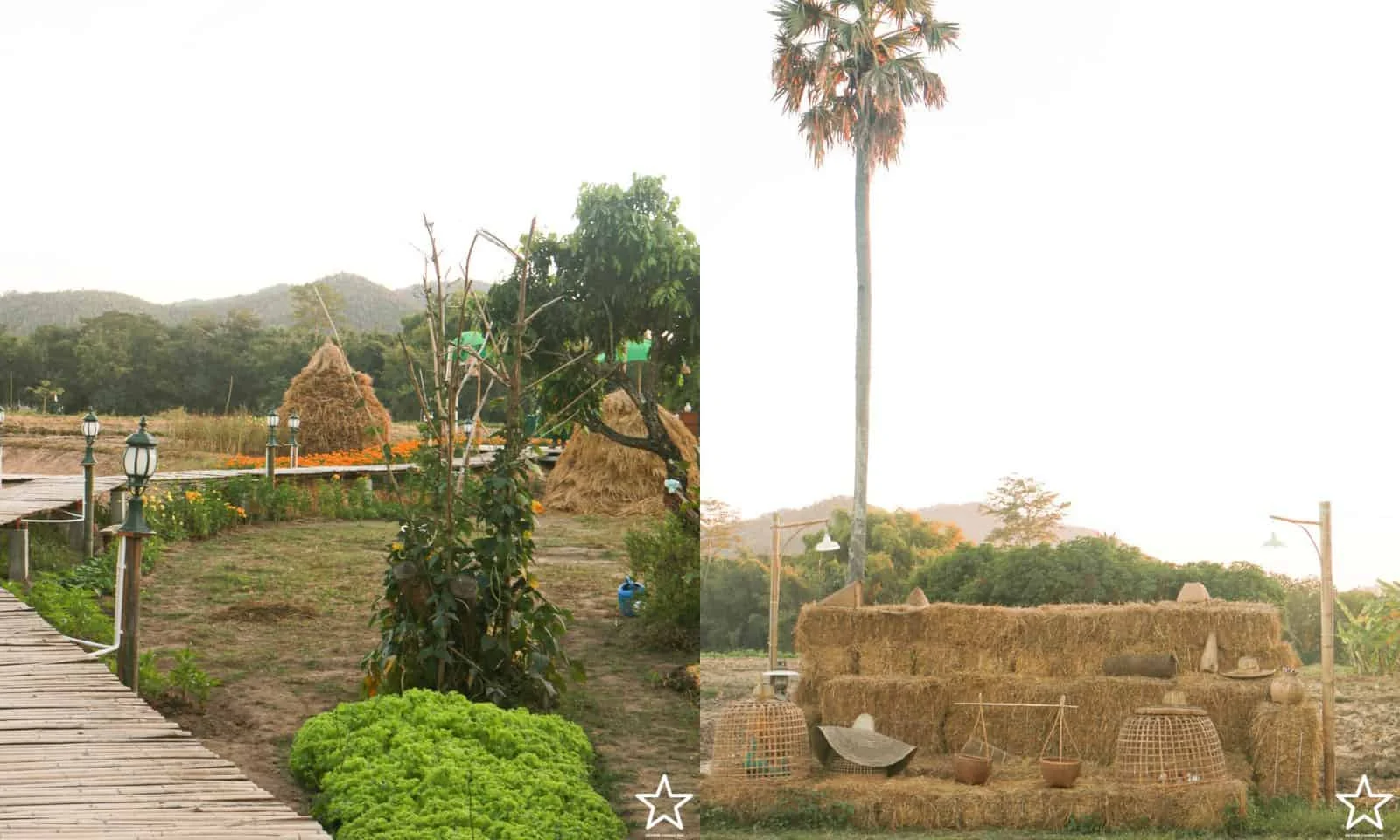 ร้านอาหารเปิดใหม่ บรรยากาศสุดชิล “กาลครั้งหนึ่ง ณ ทุ่งทองกวาว” อ.สัน ...